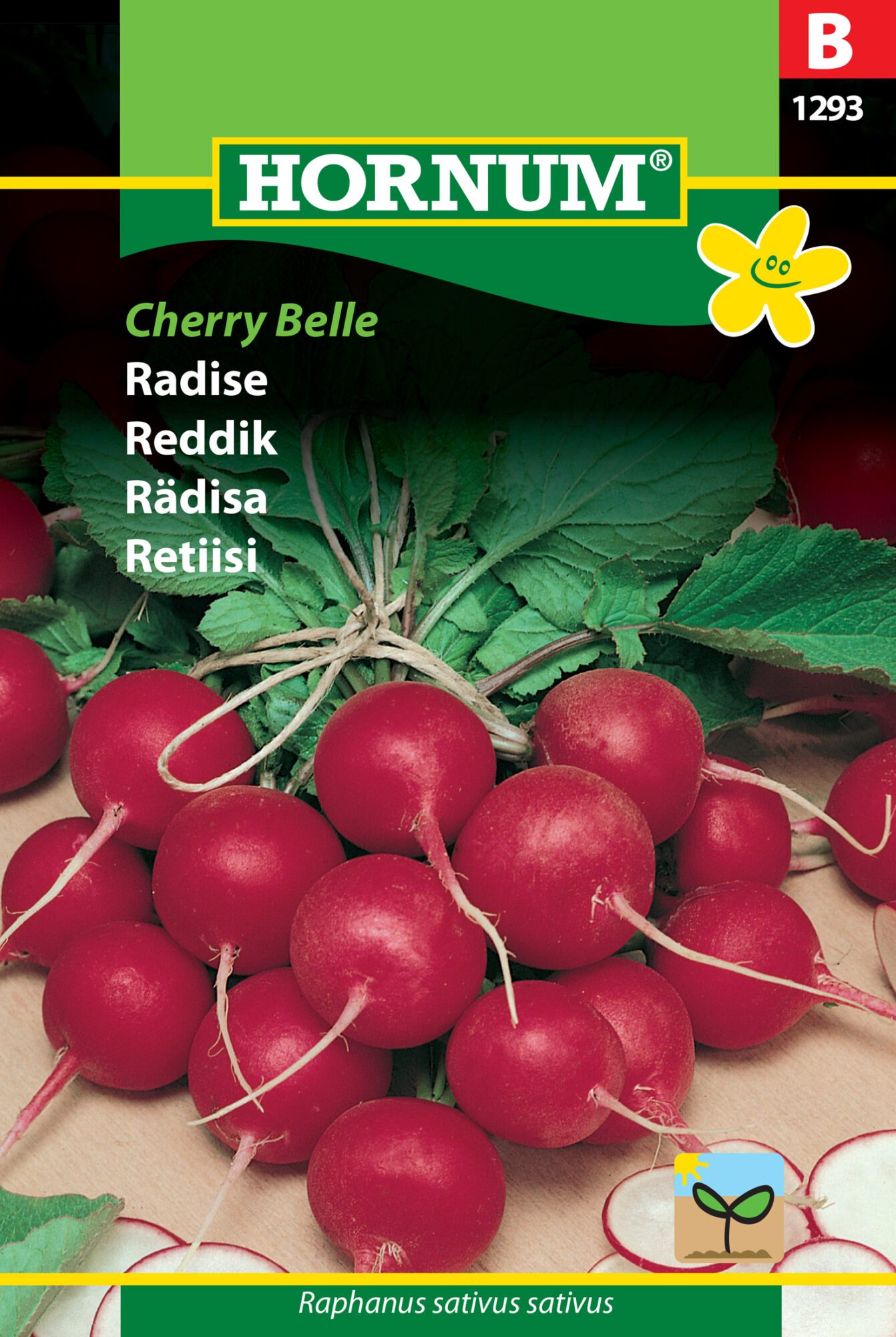 Radiser - "Cherry Belle" Rund, rød radise med mild smag - Radise frø ...