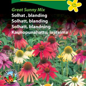 Solhat Clio - Smuk, flerårig og let dyrket sommerblomst.