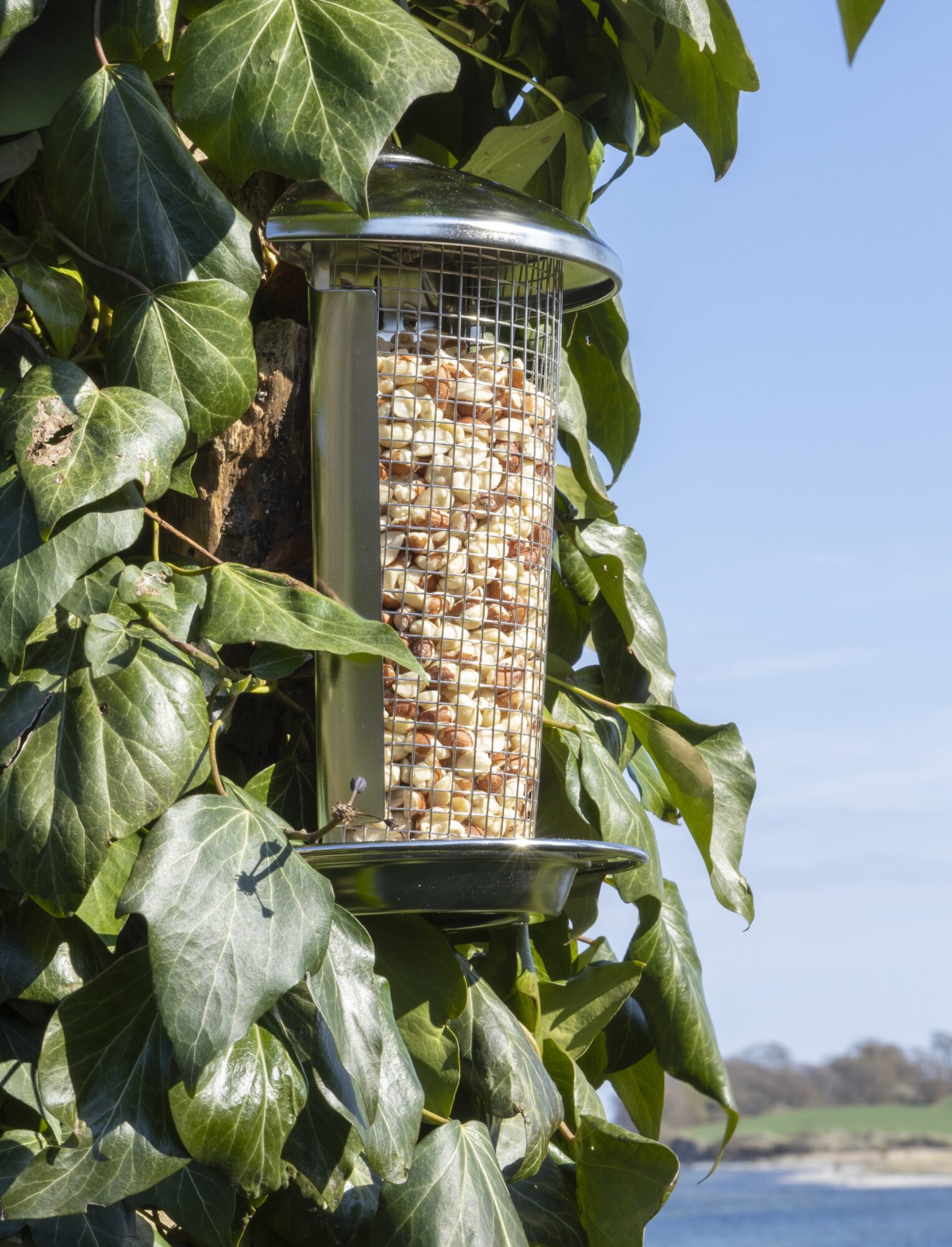 Fuglefoderautomat til ophængning på væg lavet i rustfrit stål. Smart ...